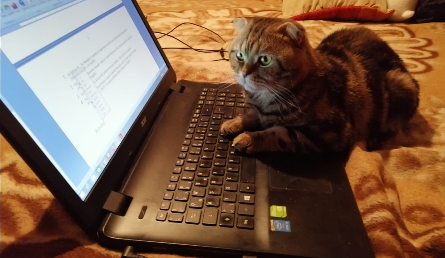 Chatting with Sergey Sayapin - Völkerrechtsblog